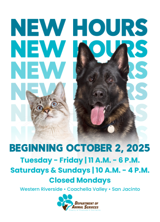 RUHS Behavioral Health Receives Two State Grants for Wellness Work in ...