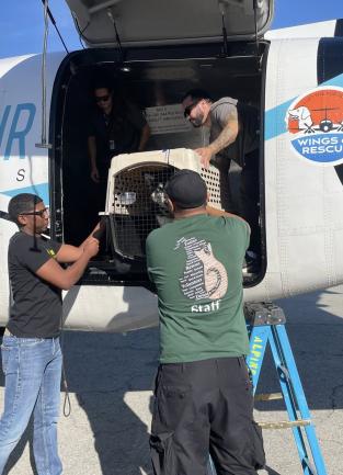 Riverside County Flood Control and Water Conservation District Unveils ...